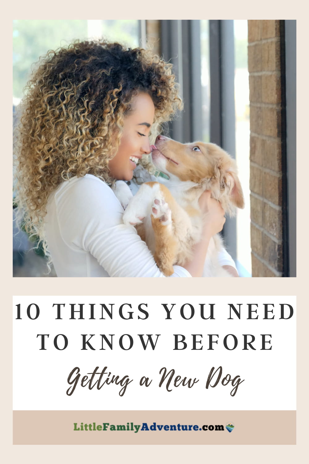 Simplifying The Transition Into Pet Parenthood - 10 Important Tips for ...