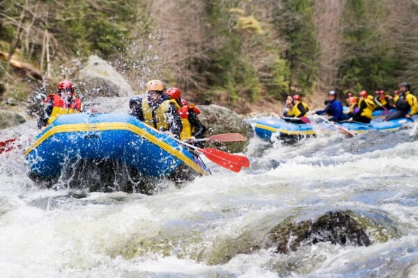 Best Ways to Explore the Hidden Charms of Colorado with Your Family