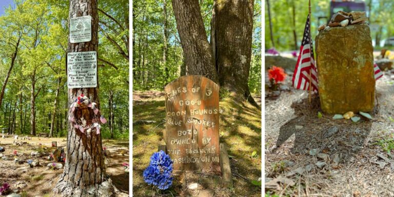 Experience the Best of Muscle Shoals with Your Family: From Music to ...