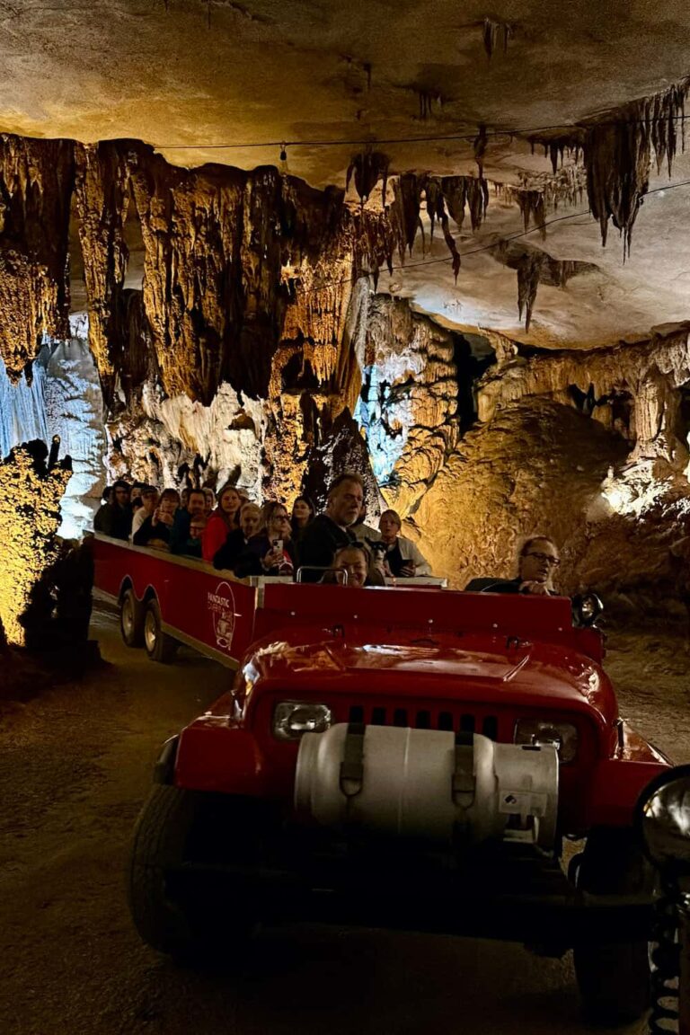 From Darkness to Adventure: Exploring Best 6 Caves near Springfield MO