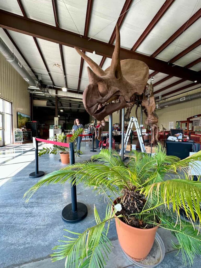 From Darkness to Adventure: Exploring Best 6 Caves near Springfield MO