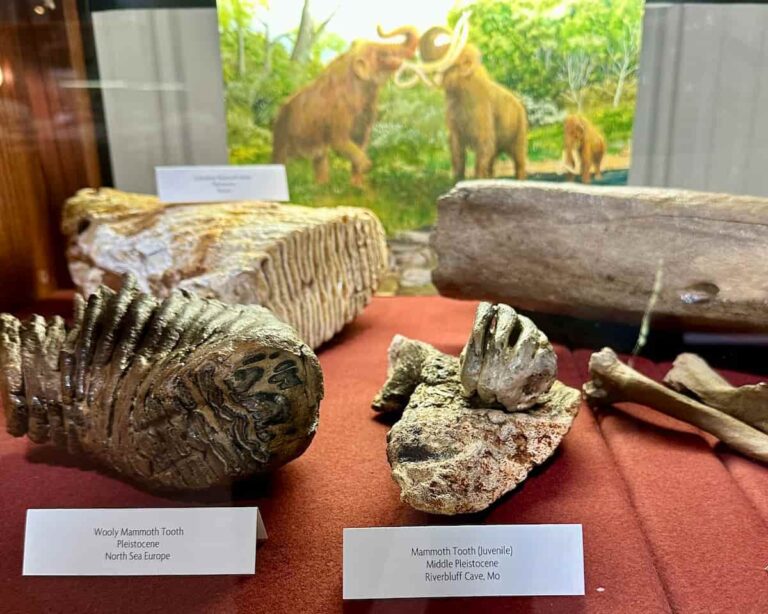 From Darkness to Adventure: Exploring Best 6 Caves near Springfield MO