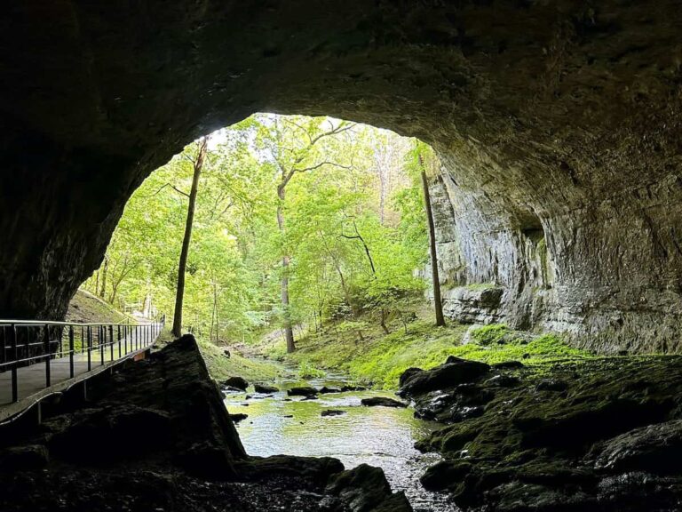 From Darkness to Adventure: Exploring Best 6 Caves near Springfield MO