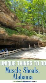 Experience the Best of Muscle Shoals with Your Family: From Music to ...