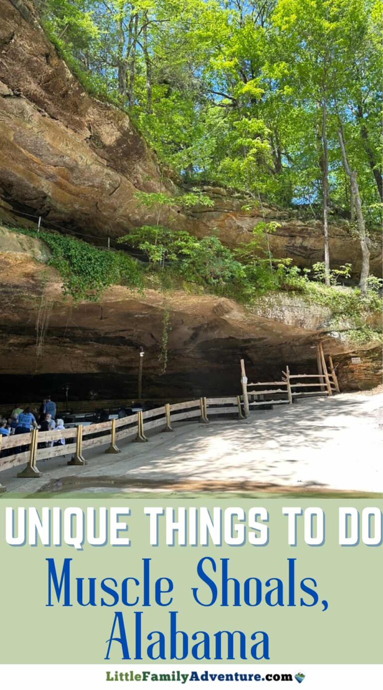 Experience the Best of Muscle Shoals with Your Family: From Music to ...