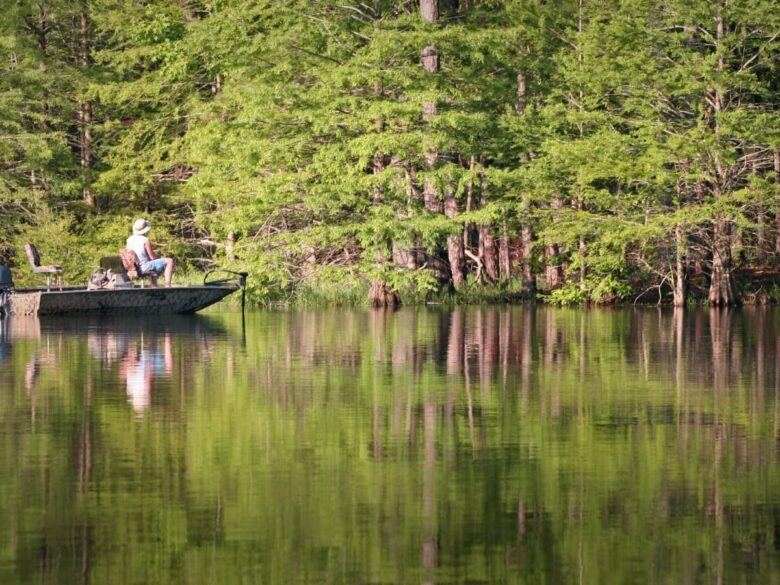 15 Bass Fishing Tips for Families to Create a Memorable Adventure