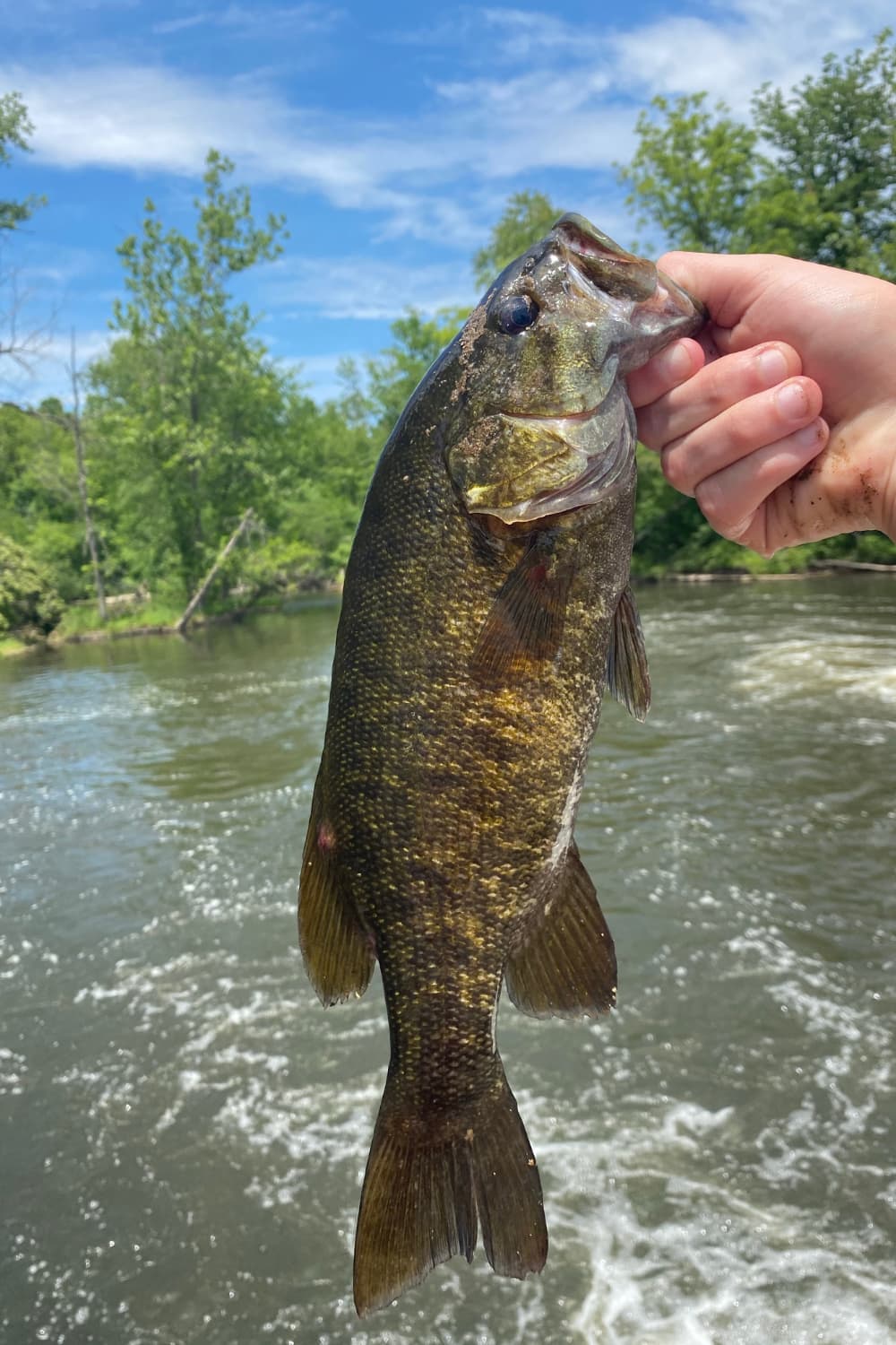 15 Bass Fishing Tips for Families to Create a Memorable Adventure