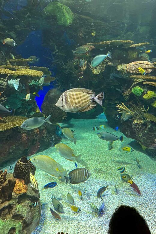 Toronto Attractions Guide - Uncover the City's Best for Families with Teens