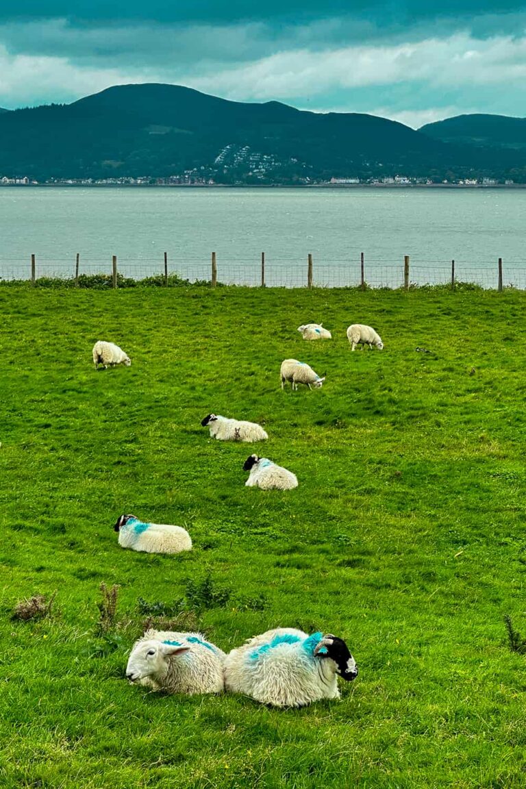 Explore Ireland Off the Beaten Path: 7-Day Itinerary for Family ...
