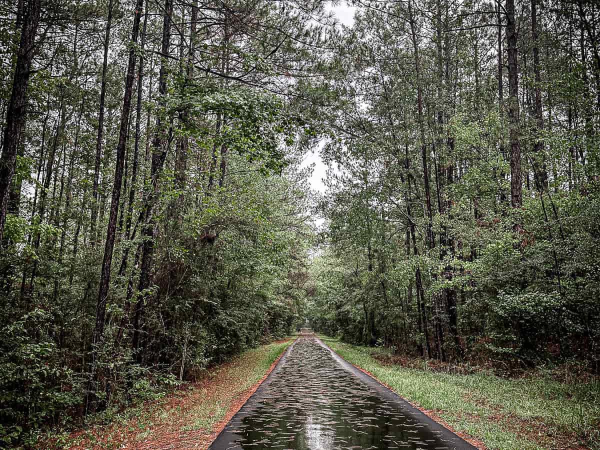 Hattiesburg's Nature Haven: Longleaf Trace & Longleaf Piney Resort