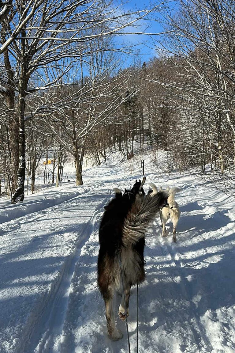 6 Tested Winter Activities in Quebec City: A Mom's Guide to Winter ...