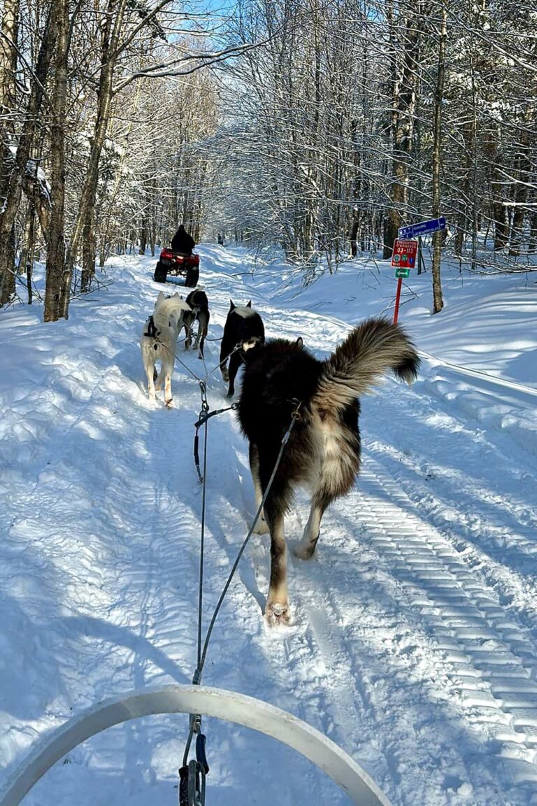 Why Québec City is a Must-See Winter Destination for Families