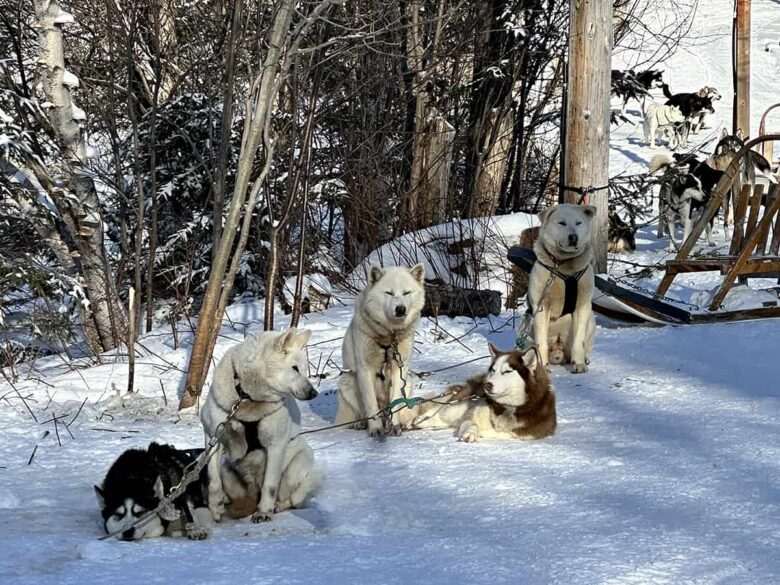 6 Tested Winter Activities in Quebec City: A Mom's Guide to Winter ...