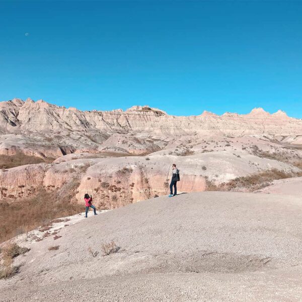 Looking for a BIG Disney Vacation Reveal Idea? You'll LOVE this ...