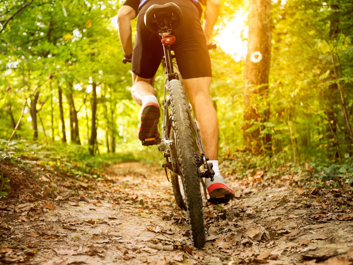 The Great Outdoors Await You and Your Teens Here in Charlottesville