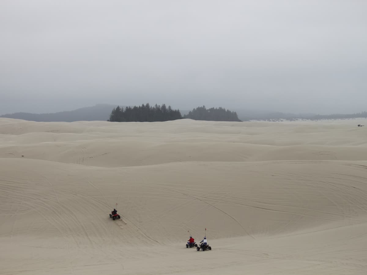 Discovering Coastal Charm: Your Family's Guide to Exploring the Oregon ...
