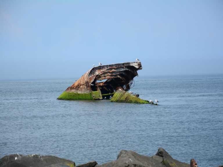 8 Must-Do Family Activities Near Cape May You Won't Want to Miss!