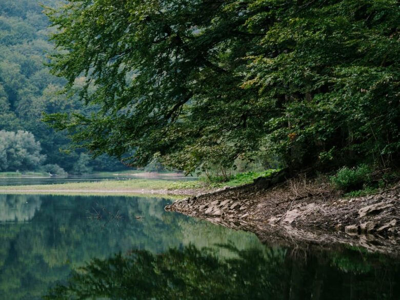 Top 18 Attractions and Fun Things to Do in Montenegro with Teens