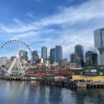 4 Places to Swim with Otters in the US